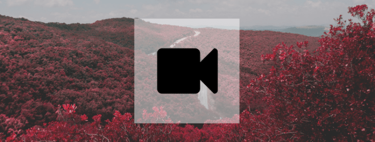 Muir Examples – Discover John Muir